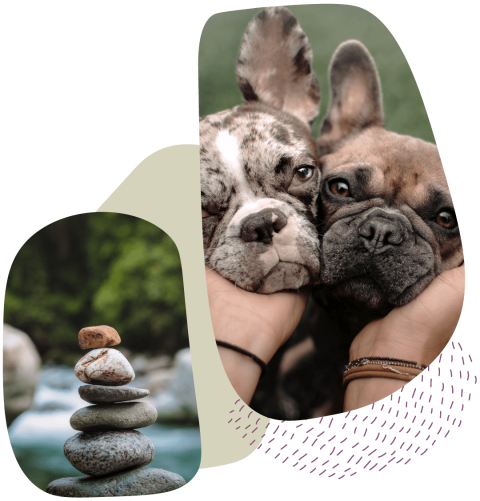 Veterinarian in Columbia SC - ZenPets Integrative Veterinary Care